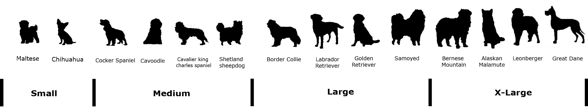 Pooch Avenue - 5 ☆ Grooming Salon